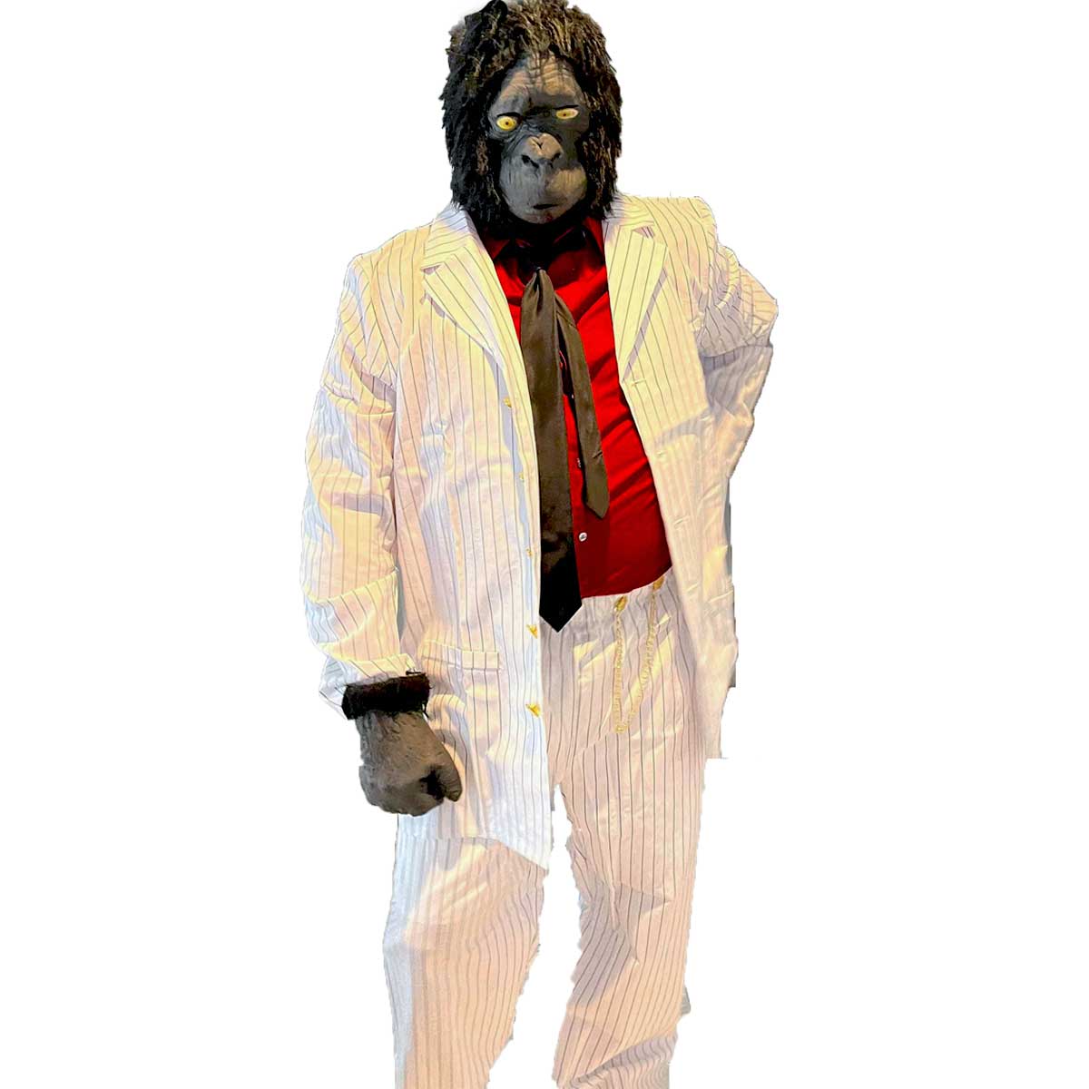 Black Gorilla Singing Telegram Bikini Bathing Suit – Smiles For All ...