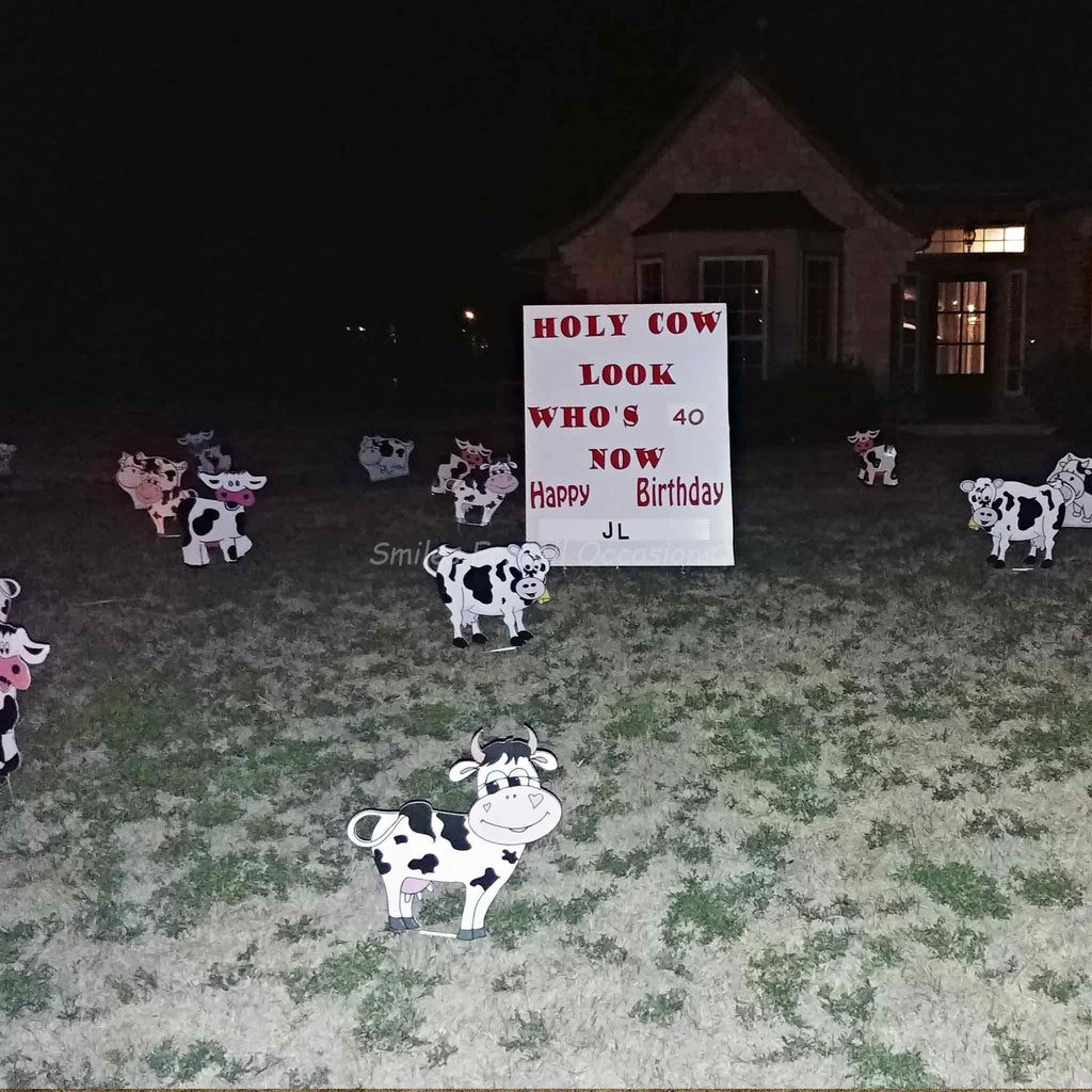 Birthday Cows Yard Signs Holy Cow Oklahoma – Smiles For All Occasions